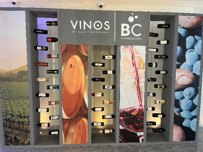 ASISTE HILO NEGRO A EXPERIENCIA VITIVINÍCOLA EXCLUSIVA – Hilo Negro